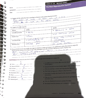 Chapter 27 - completed lab assignment - Exercise 27 Review Sheet ...