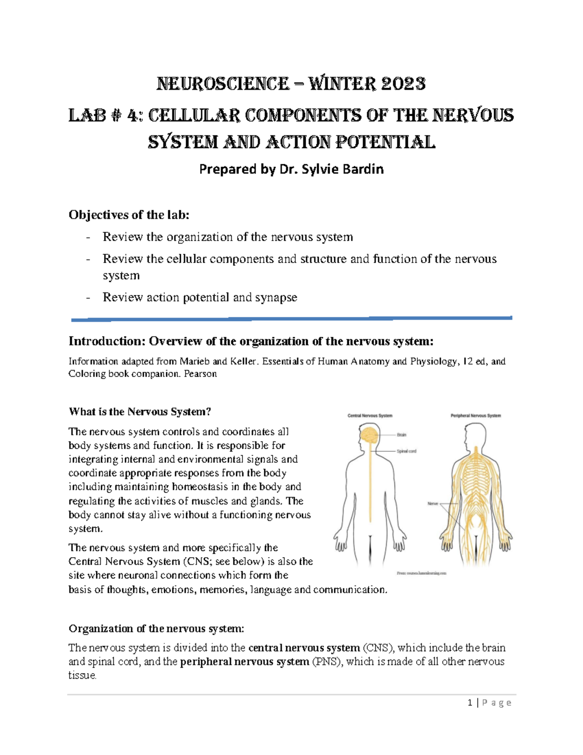 Biol 3060- Lab # 4-Introduction-Protocol-W2023 - Neuroscience – Winter 2023 Lab # 4: cellular ...