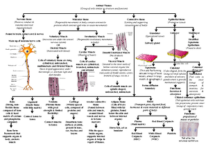 Anaphy Chapter 3 Transes - Chapter 3: Cell Structures and Their Functions Cell Structure ...