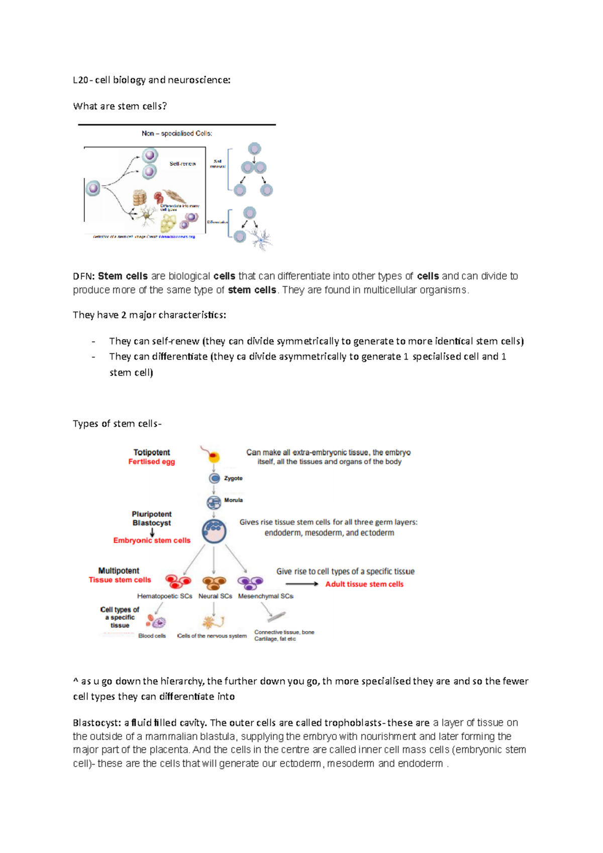 L20- cell biology and neuroscience - L20- cell biology and neuroscience ...