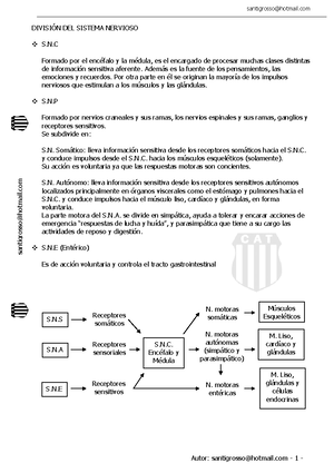 Cuadroo Neuro OFI - EXTRAPIRAMIDAL Hipokinetica Hiperkinética parkinson ...