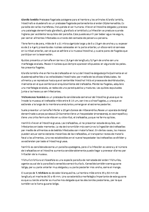 Metodo de Richie - parasitologia - MÉTODO DE RITCHIE (CONCENTRACIÓN POR ...