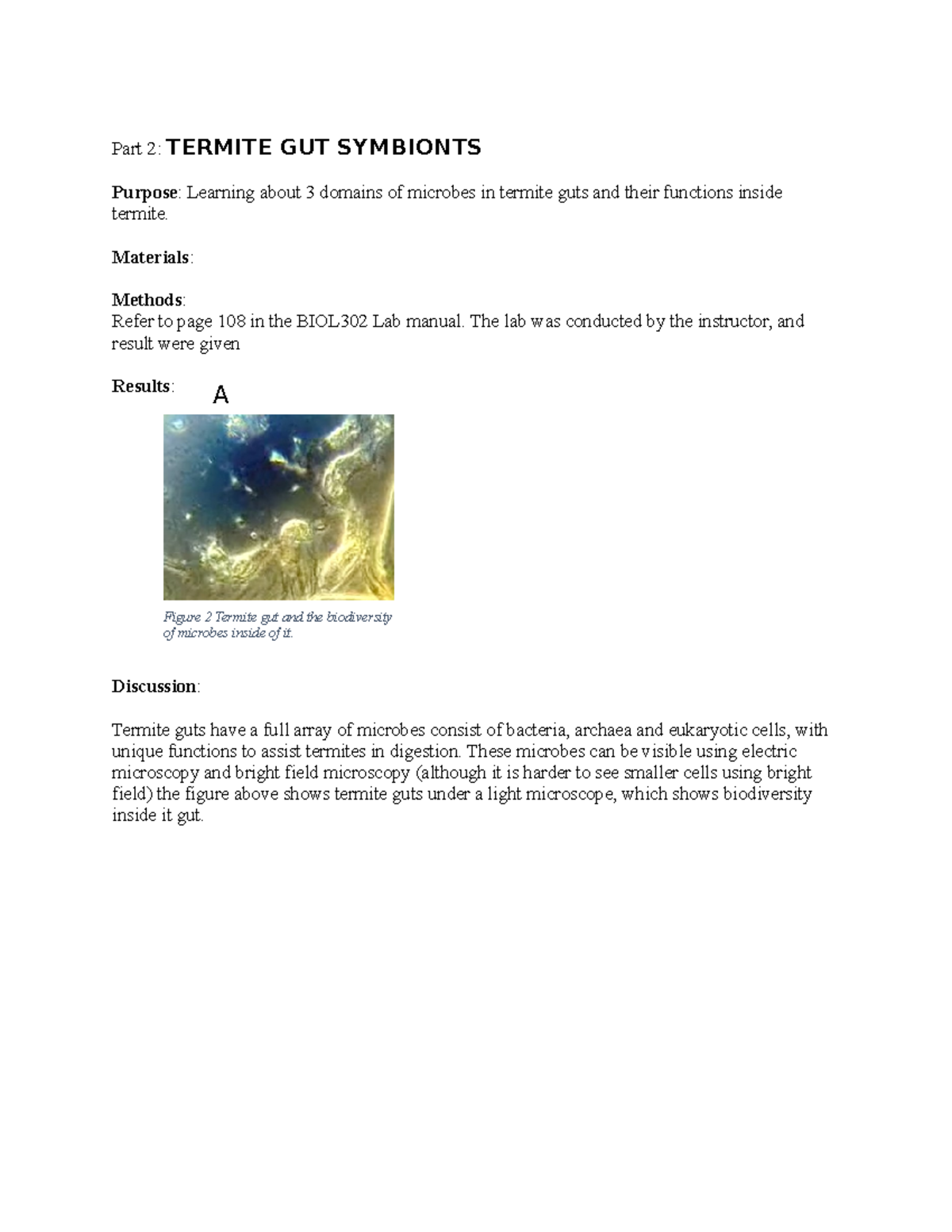 Termite GUT Symbionts - Part 2: TERMITE GUT SYMBIONTS Purpose ...