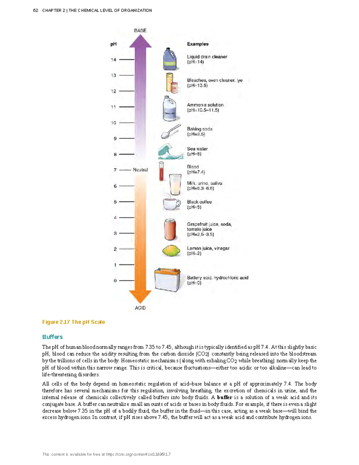 Anatomy-physiology-24 - Figure 2 The pH Scale Buffers The pH of human ...