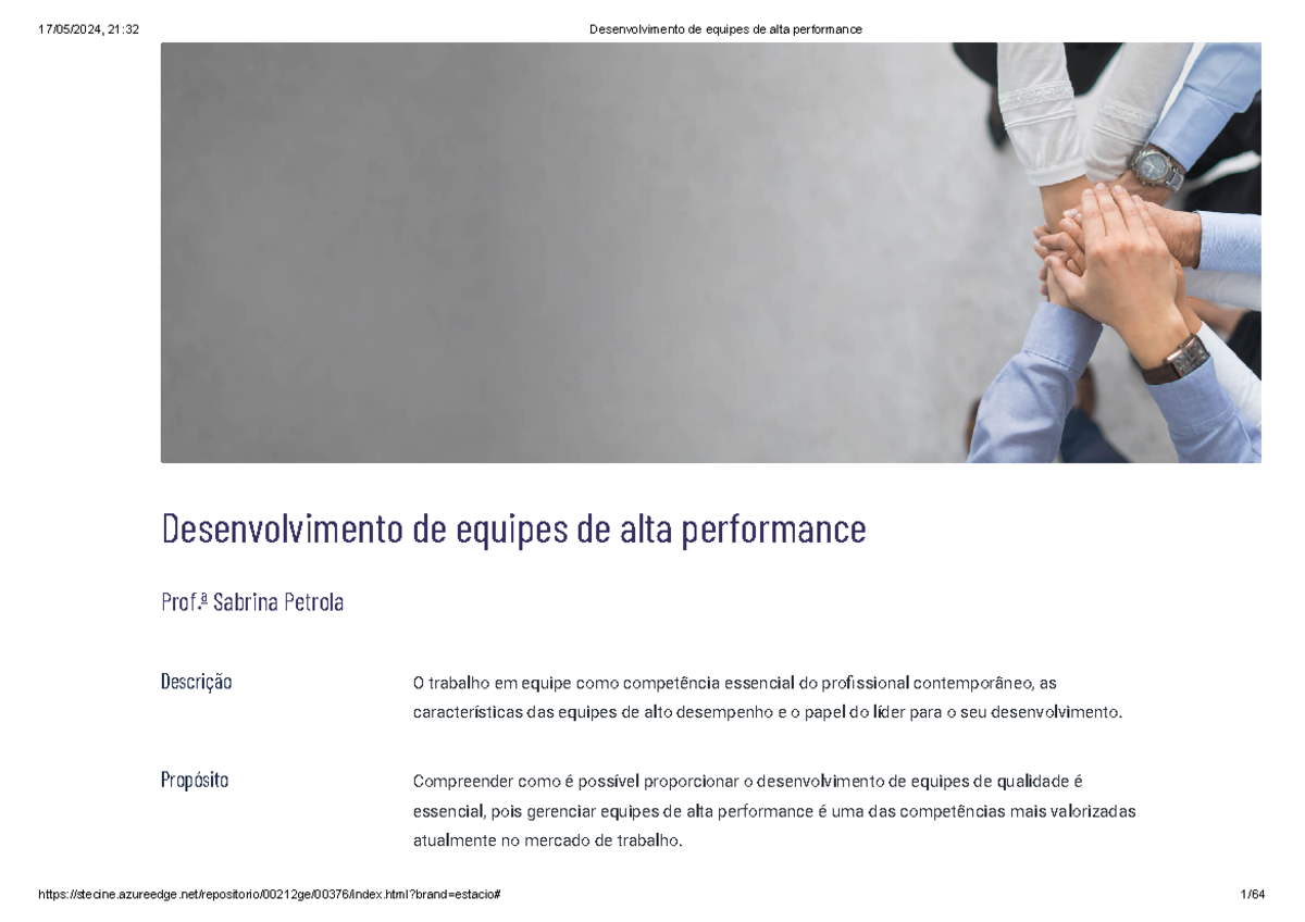 TEMA 7 - Desenvolvimento de equipes de alta performance ...
