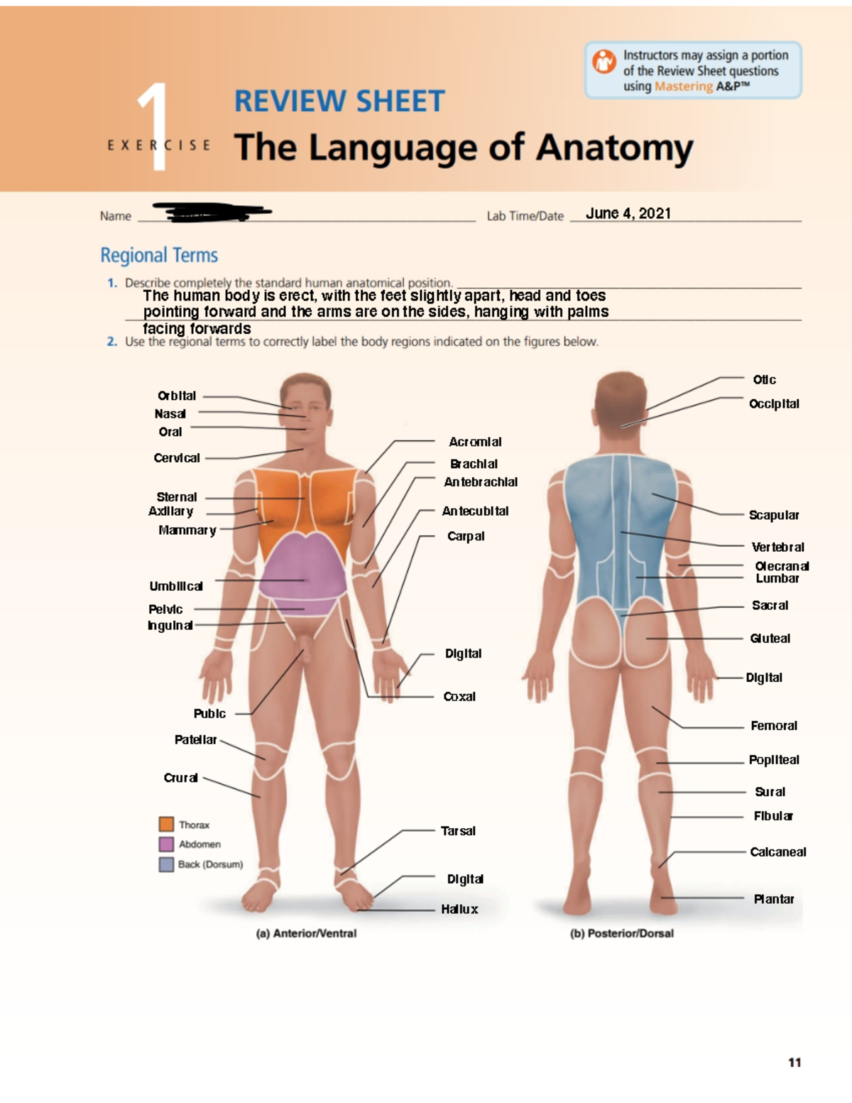 Lab Chapter 1 2 Lab Assignment From Lab Book Exercise Review Sheet Instructors Ma Y Assign A