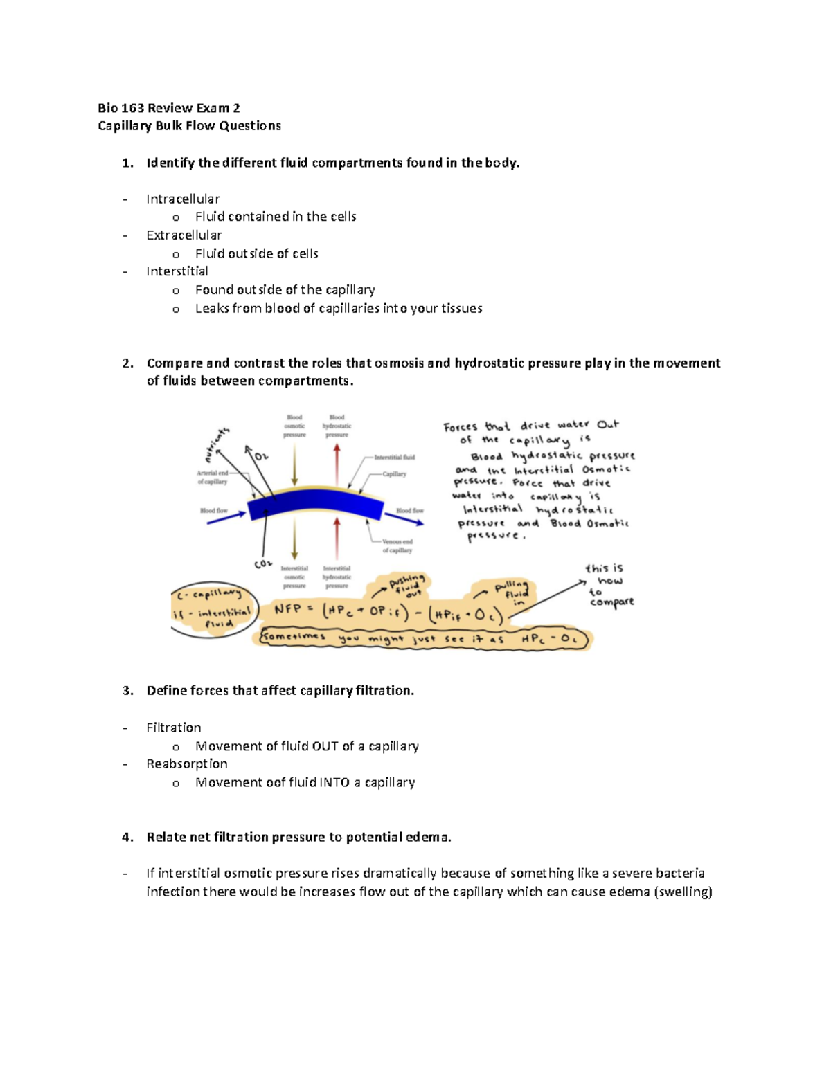 Capillary bulk flow - bio 163 review questions - Bio 163 Review Exam 2 ...