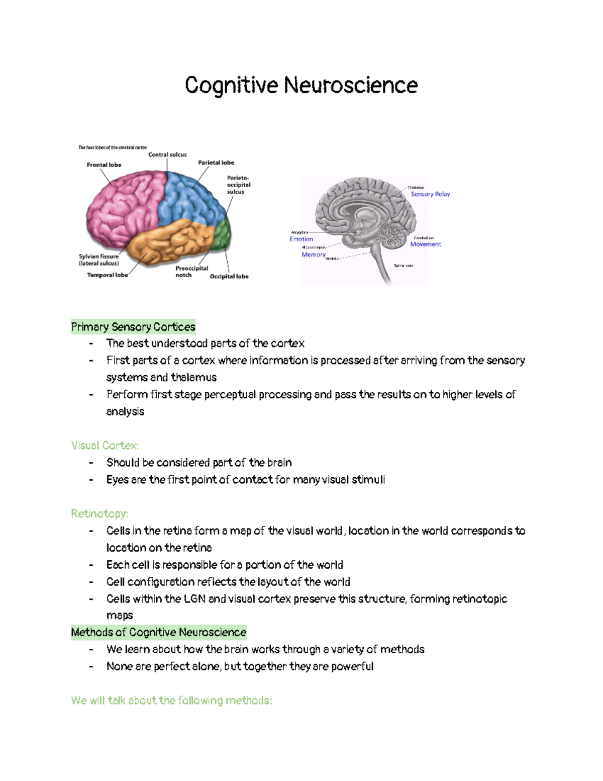 Cognitive Neuroscience - Studocu