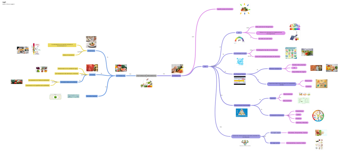 Mapa mental de los factores intrínsecos y extrinsecos - EXTRINSECOS FACTORES DE CRECIMIENTO ...