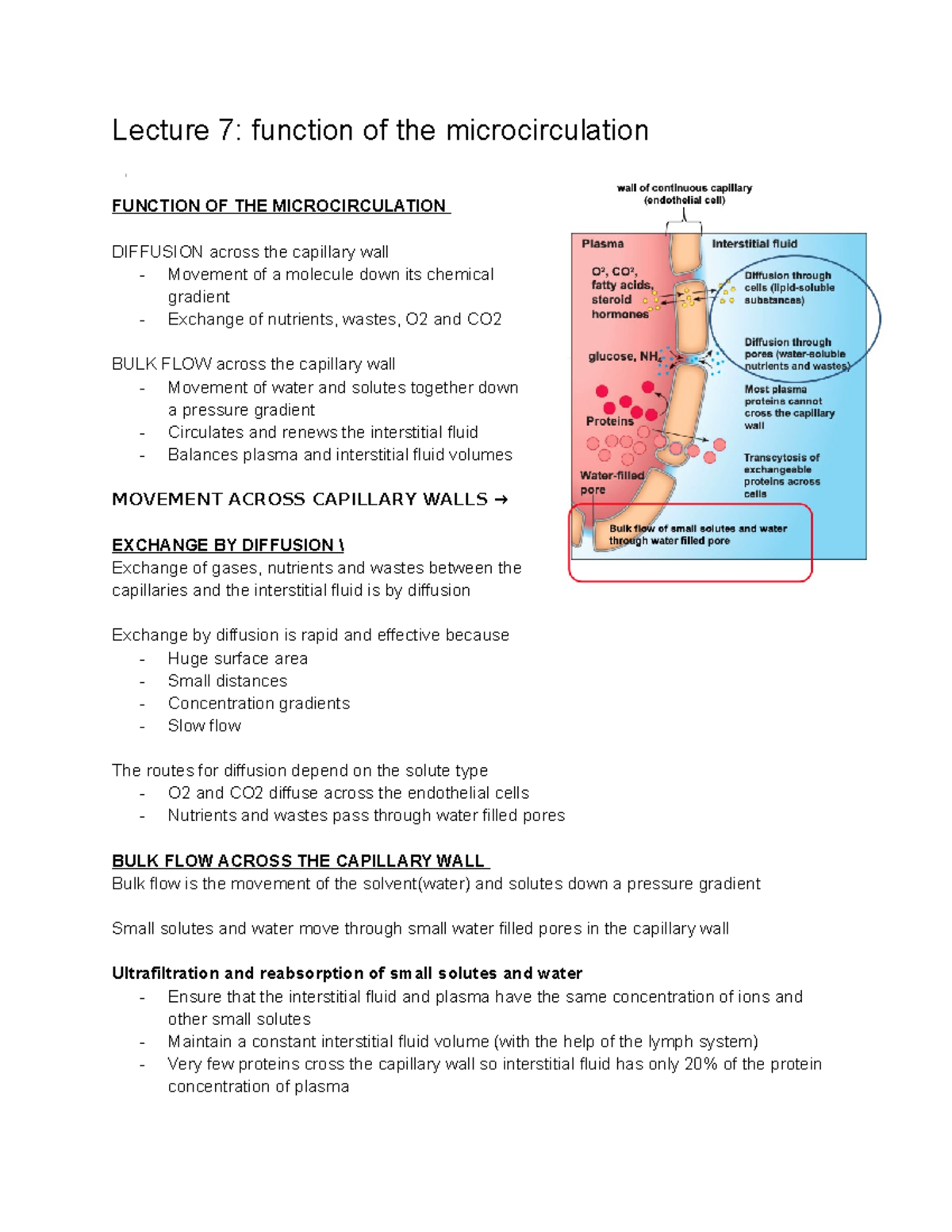 7 Function Of The Microcirculation Summary Notes Lecture 7
