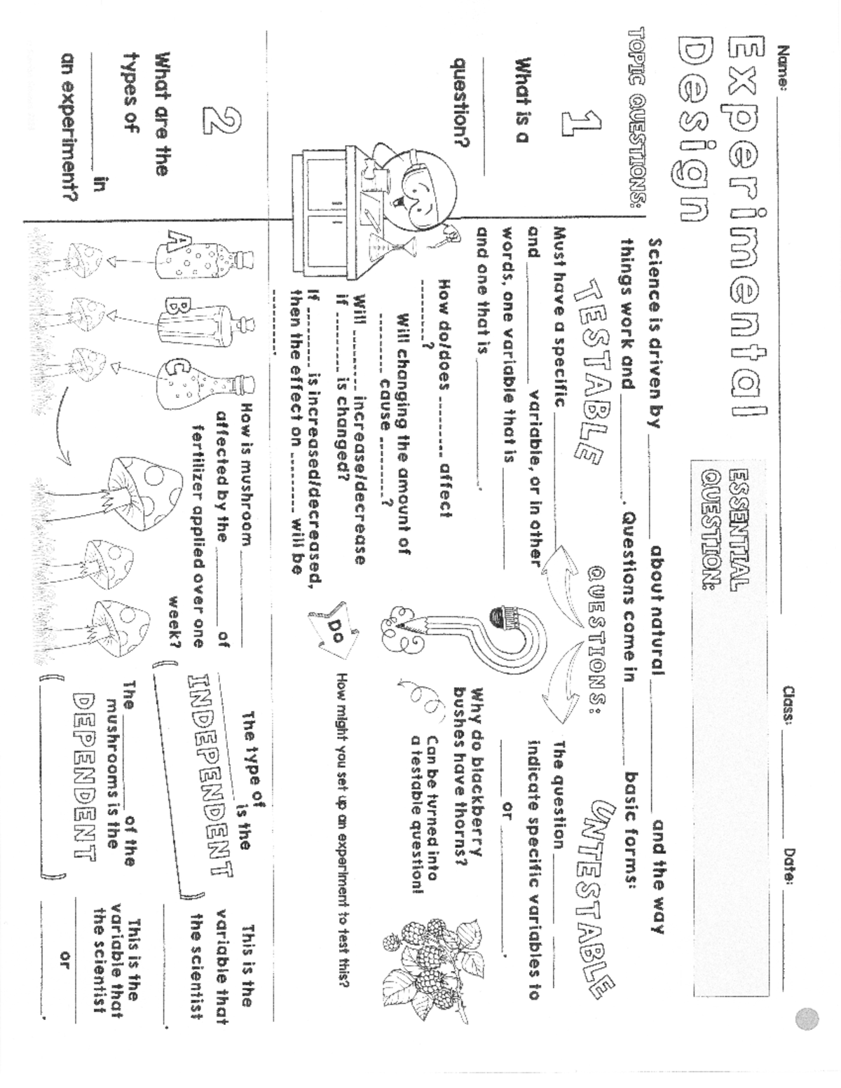 Scientific Method Notes - Studocu