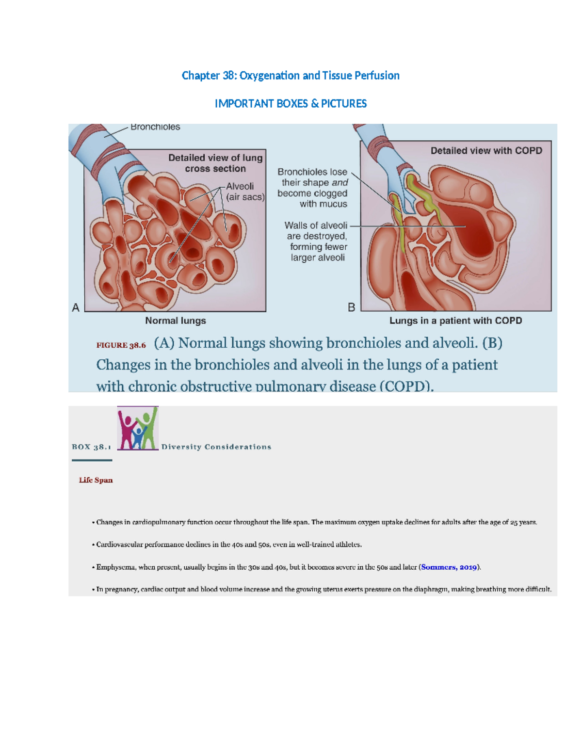 Chapter 38 Text:Pics - Yoost Fundamentals Ch.38 Review - Chapter 38 ...