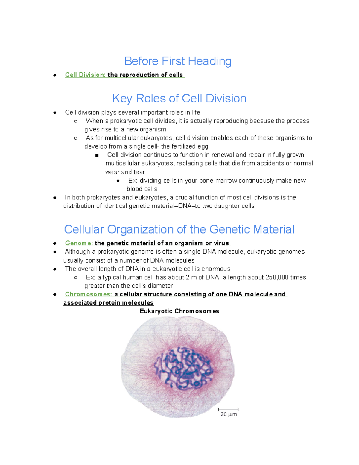 12.1 Most Cell Division Results in Genetically Identical Daughter Cells ...