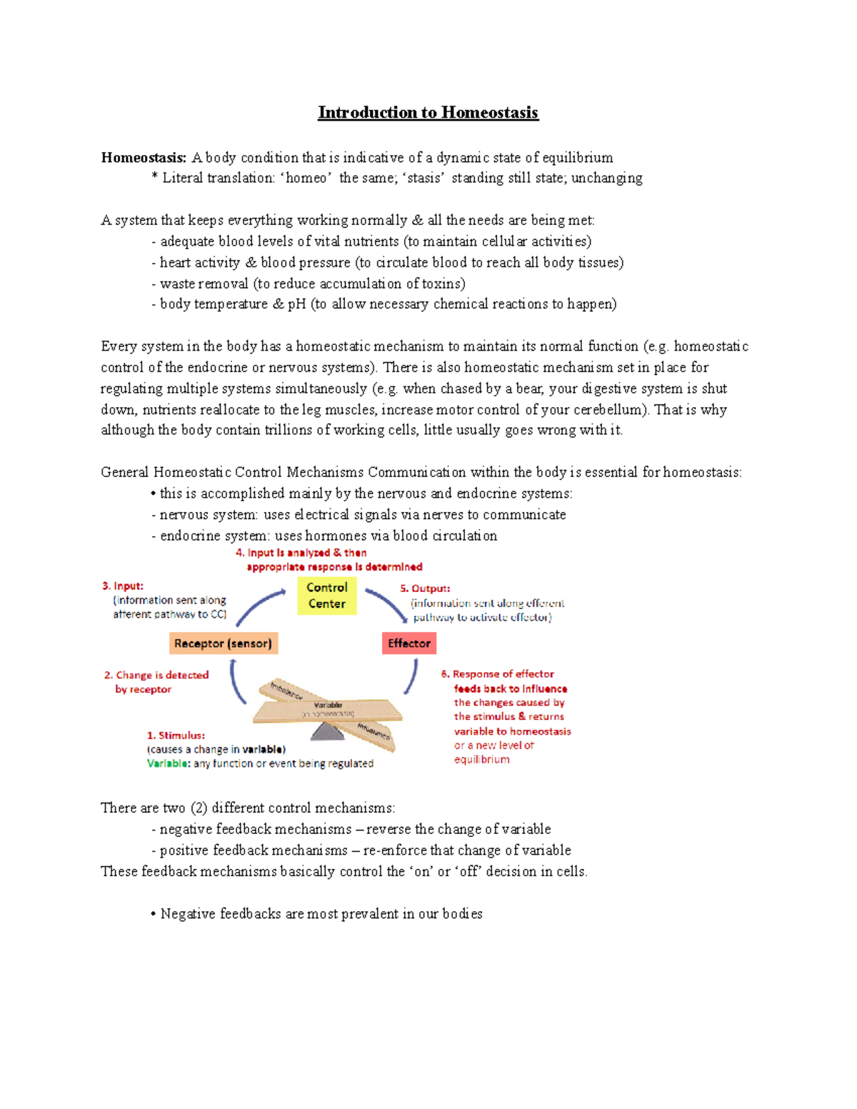 Biology- Homeostasis Unit Notes - Introduction to Homeostasis ...