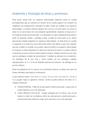 Terminología DE Aparato Respiratorio - TERMINOLOGÍA MÉDICA SISTEMA ...