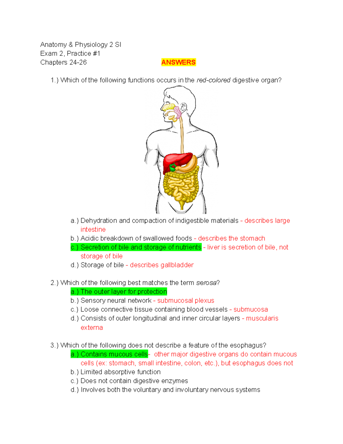 Anatomy Physiology 2 SI Exam 2 Practice 1 Chapters 24 26 Answers ...