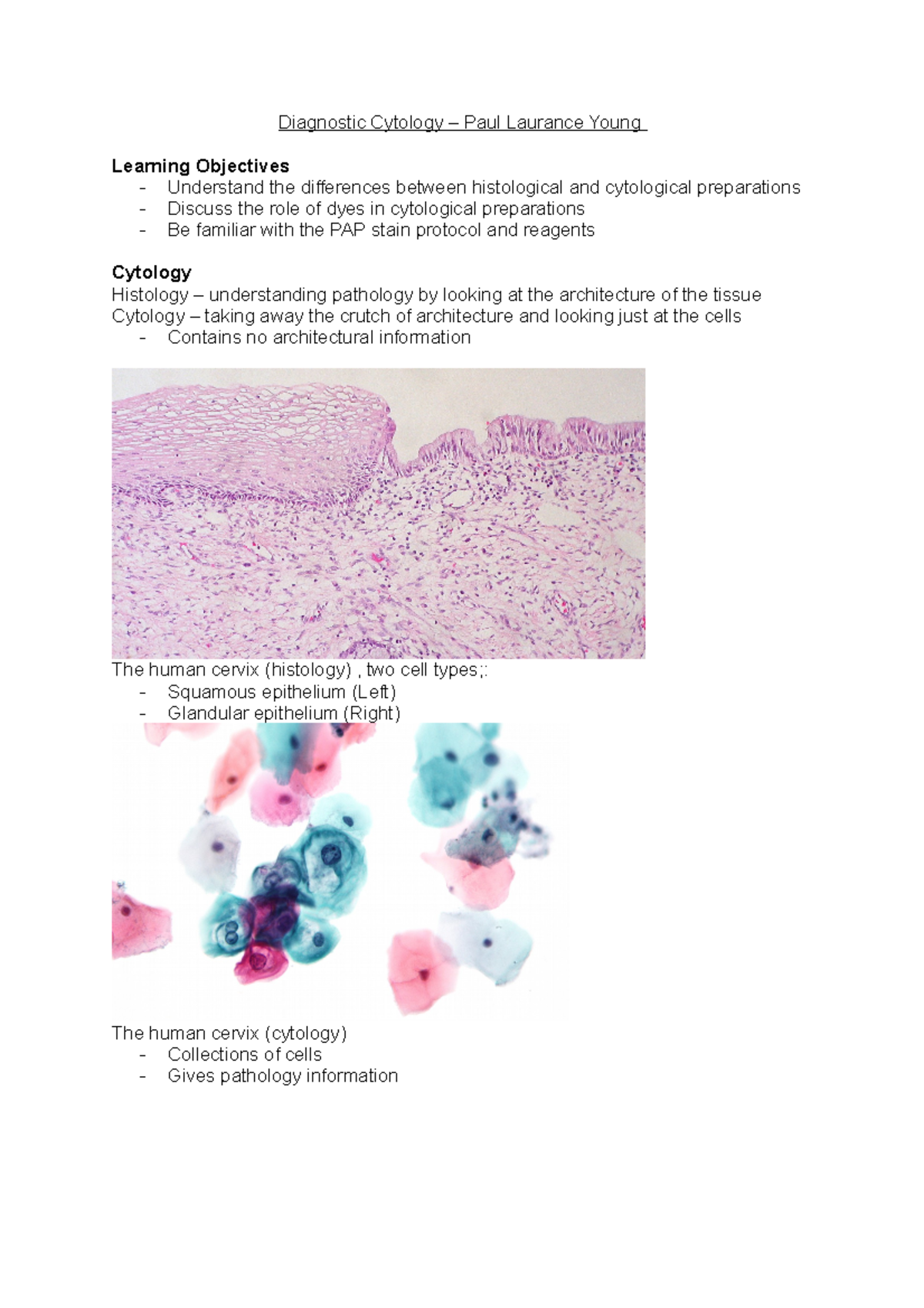 Diagnostic Cytology - Bronchoscopy – bronchial washings using an ...