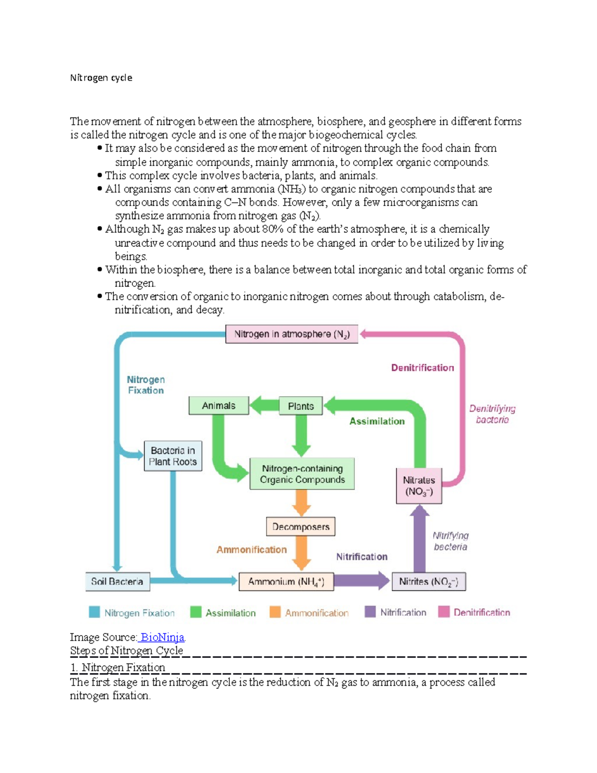 Nitrogen Cycle - Notes - Nitrogen cycle The movement of nitrogen ...
