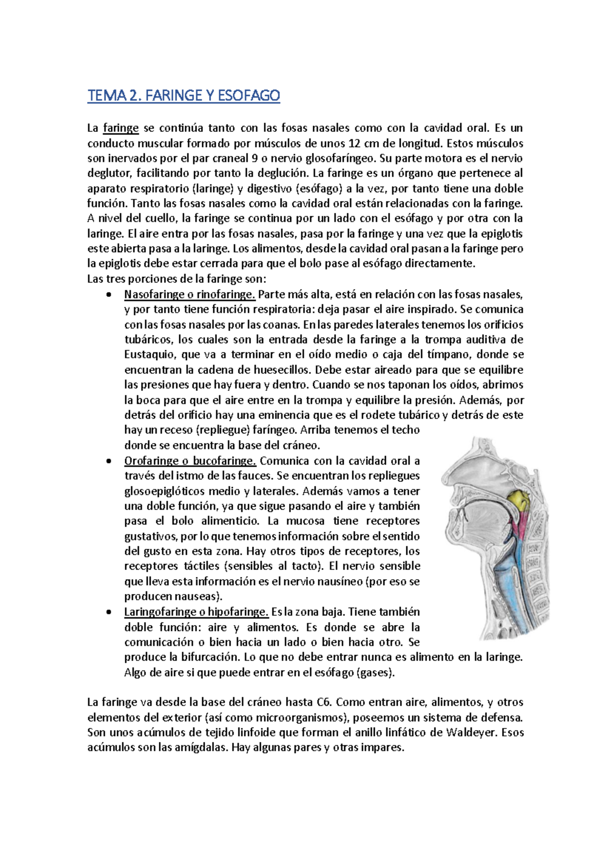 TEMA 2 - Apuntes 1 - Warning: TT: undefined function: 32 TEMA 2 ...