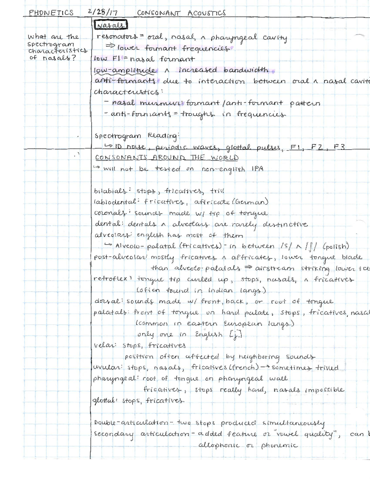 Phonetics notes 3-9-17 - PHONETICS CONSONANT ACOUSTICS Nasals what are ...
