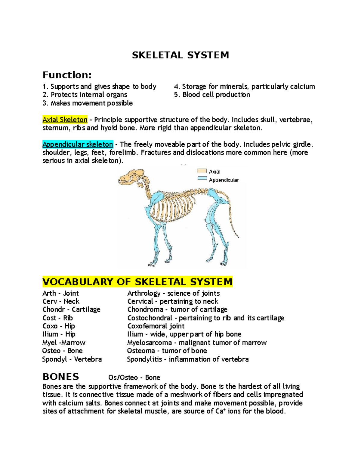 Skeletal System - SKELETAL SYSTEM Function: Supports and gives shape to ...