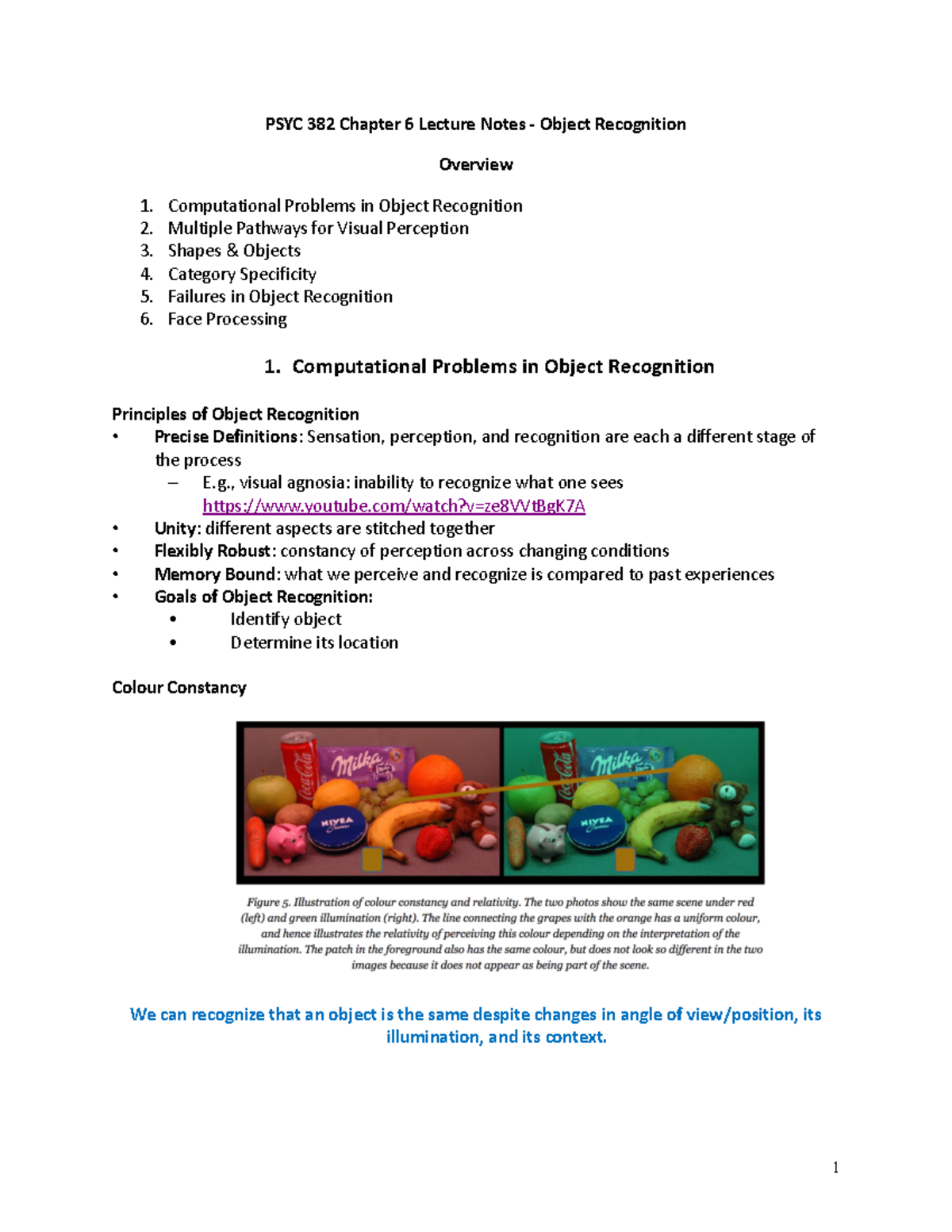 Chapter 6 Notes - cognitive neuroscience - PSYC 382 Chapter 6 Lecture ...