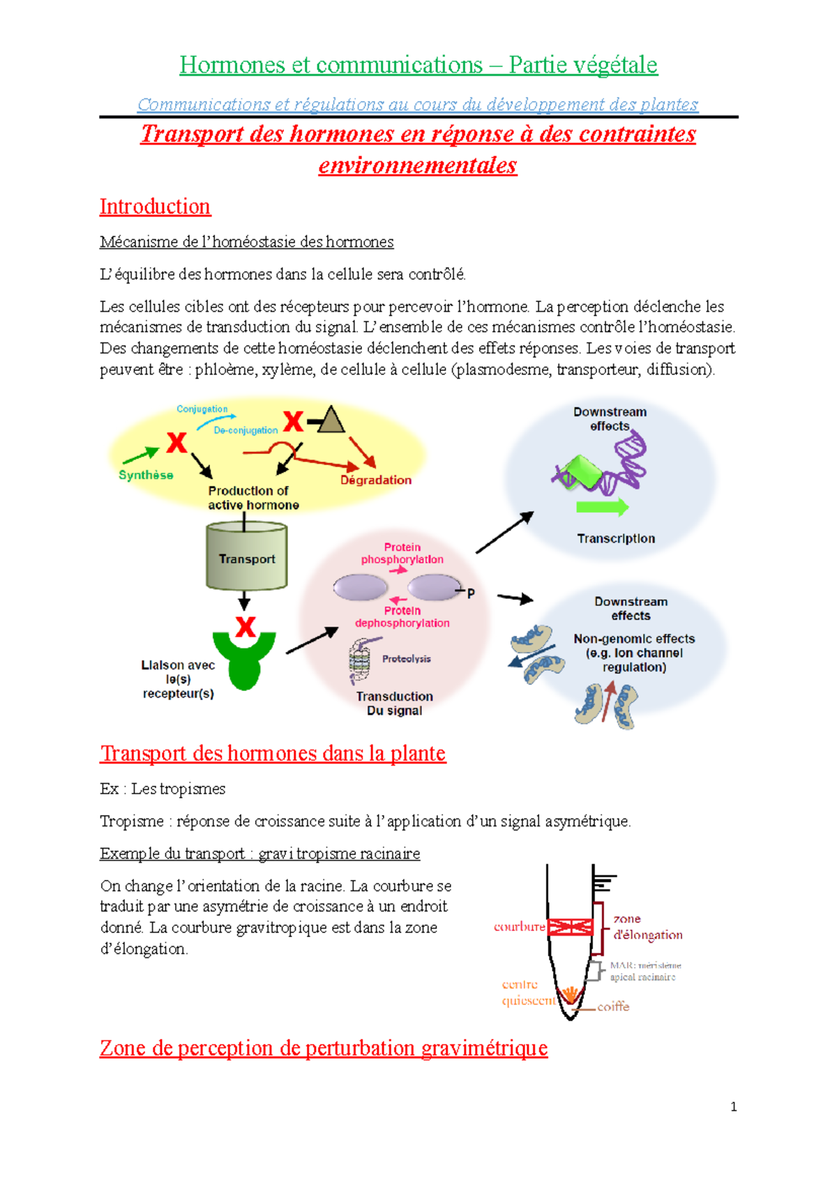 Cours Hormone et com Végétal COMPLET - Hormones et communications ...