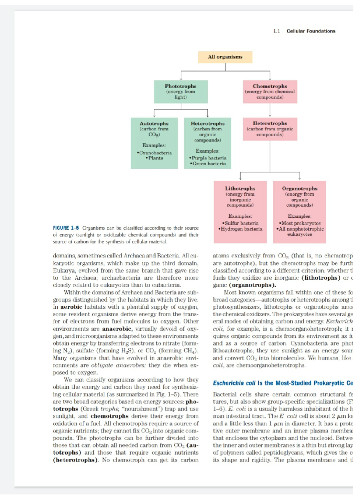 Image To PDF 21-07-2022 16 - chemistry - Studocu