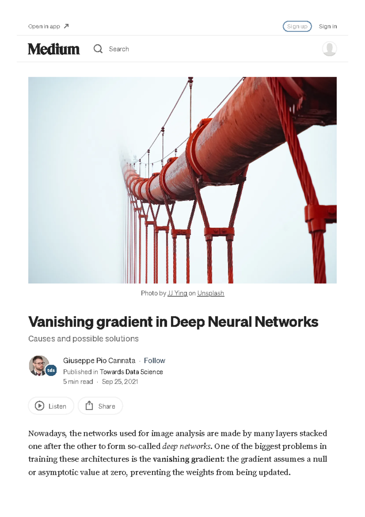 Vanishing gradient in Deep Neural Networks by Giuseppe Pio Cannata ...