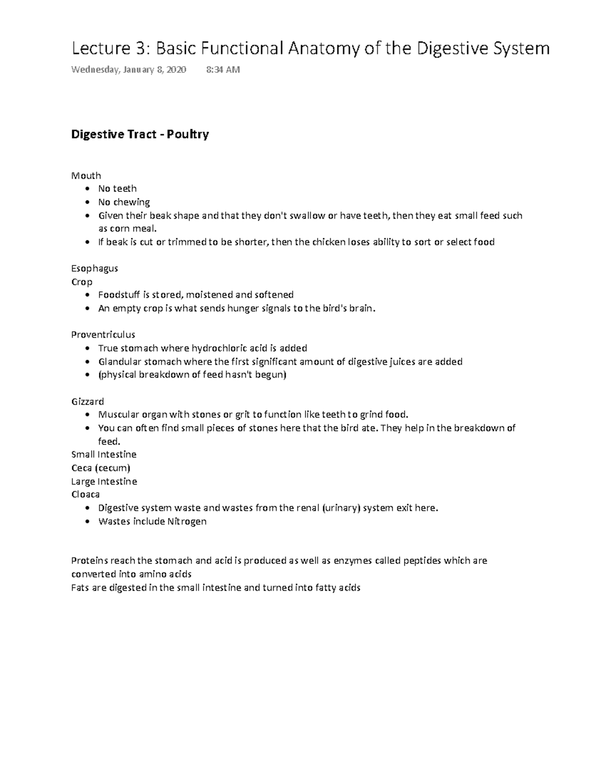 Lecture 3 Basic Functional Anatomy of the Digestive System - If beak is ...