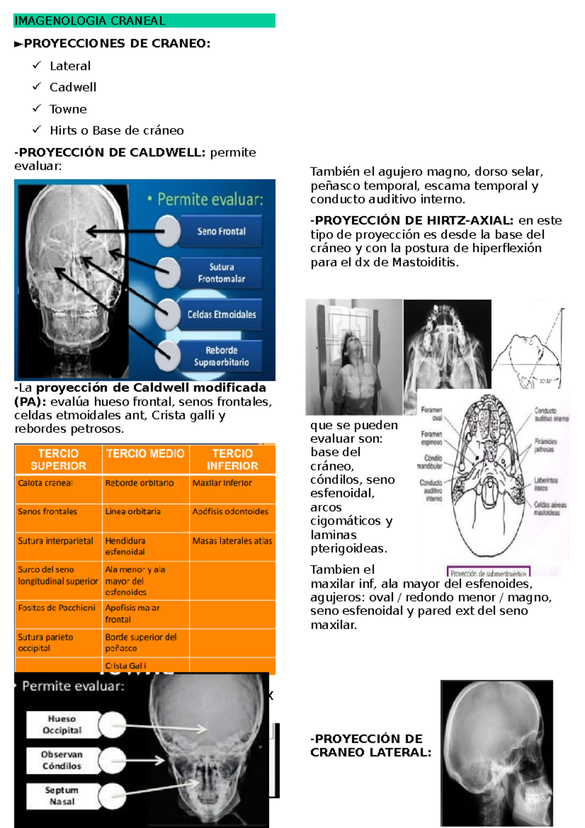 Imagenologia Craneal Resumen - IMAGENOLOGIA CRANEAL PROYECCIONES DE ...