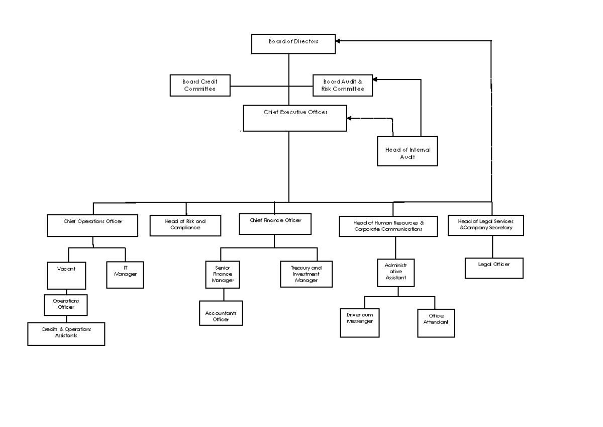 TMRc Organisation Structure 3 - Board of Directors Board Audit & Risk ...