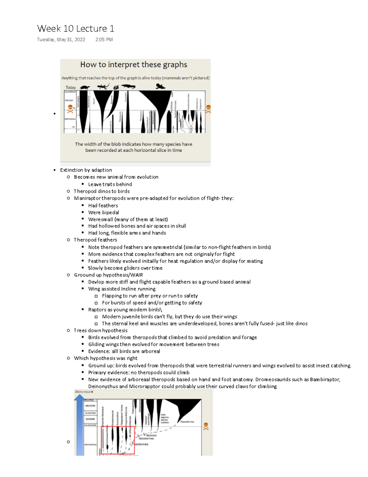 Eps Sci 17 Lecture 17 Notes • Extinction By Adaption Becomes New