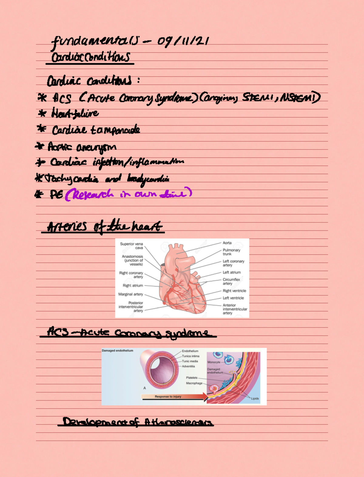 Note 9 Nov 2021 - Paramedic science class notes - fundamentals 091121 ...