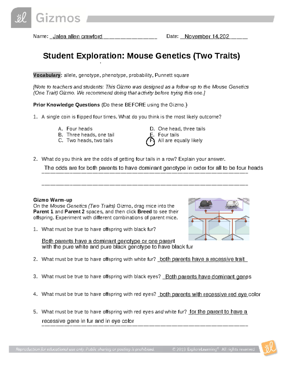 Mouse Genetics 2SE - none - Name ...