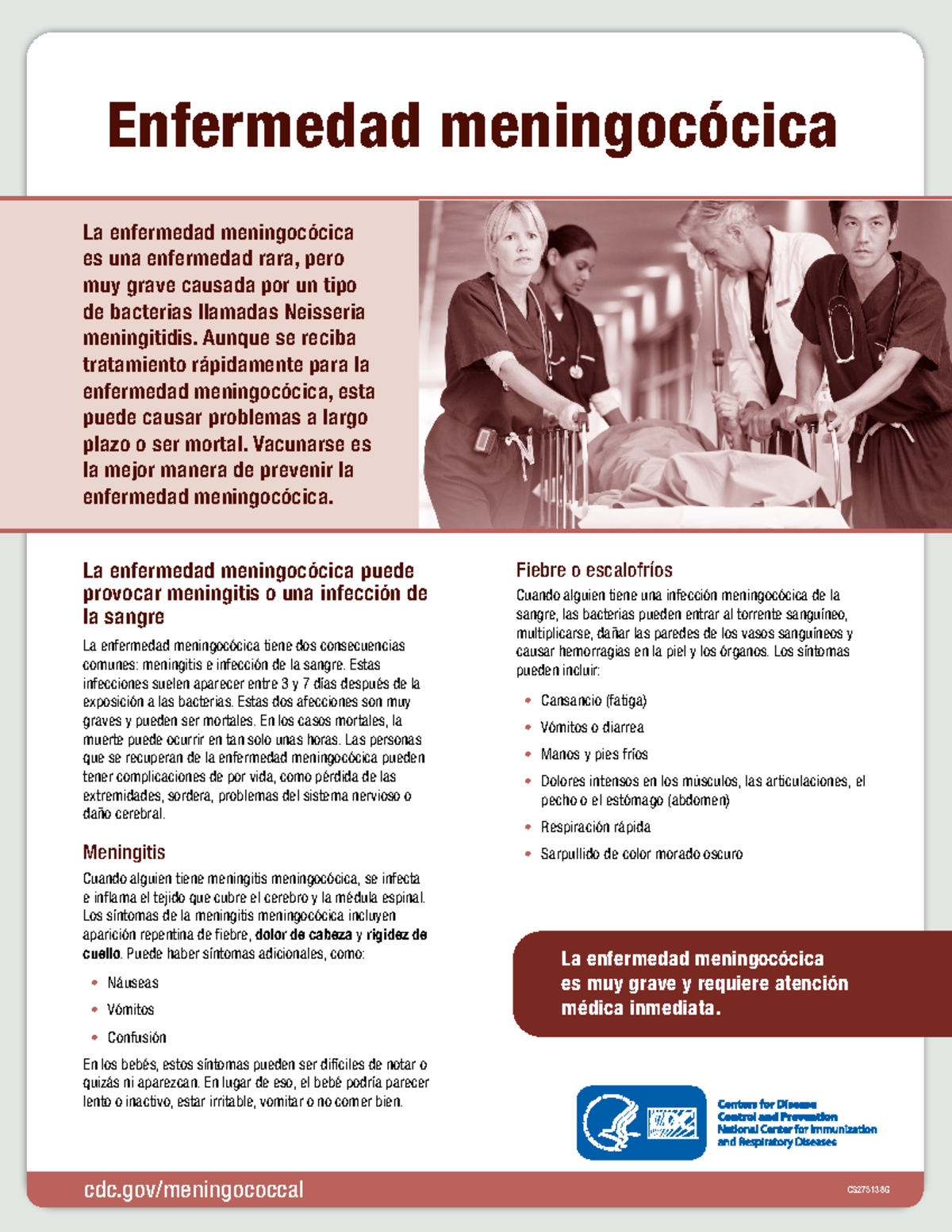 Meningococcaldis-fs es-508 - CS275138G Enfermedad meningocócica La ...