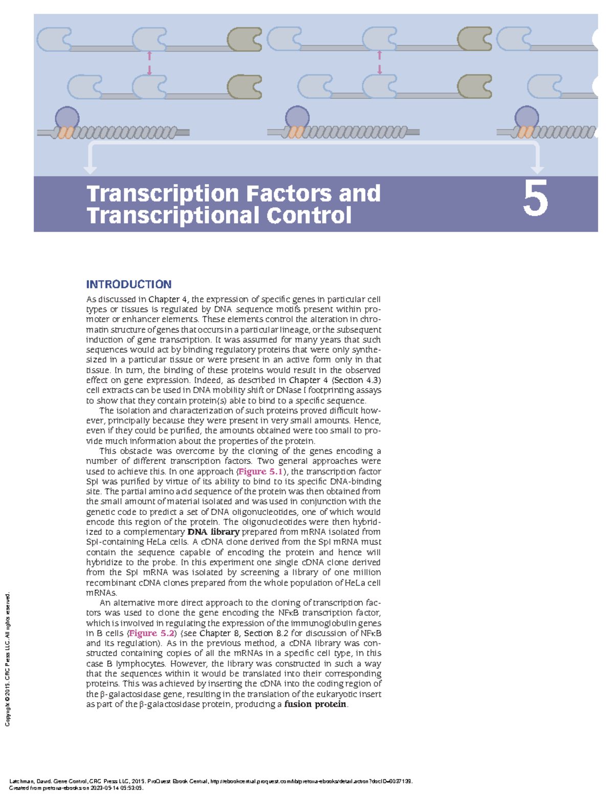 Gene Control - (5 Transcription Factors and Transcriptional Control ...