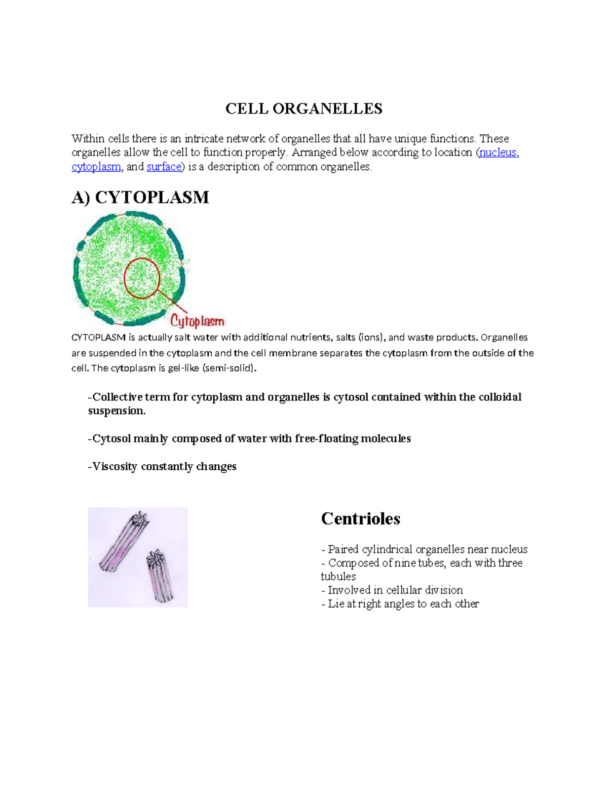 CELL Organelles - CELL ORGANELLES Within cells there is an intricate ...