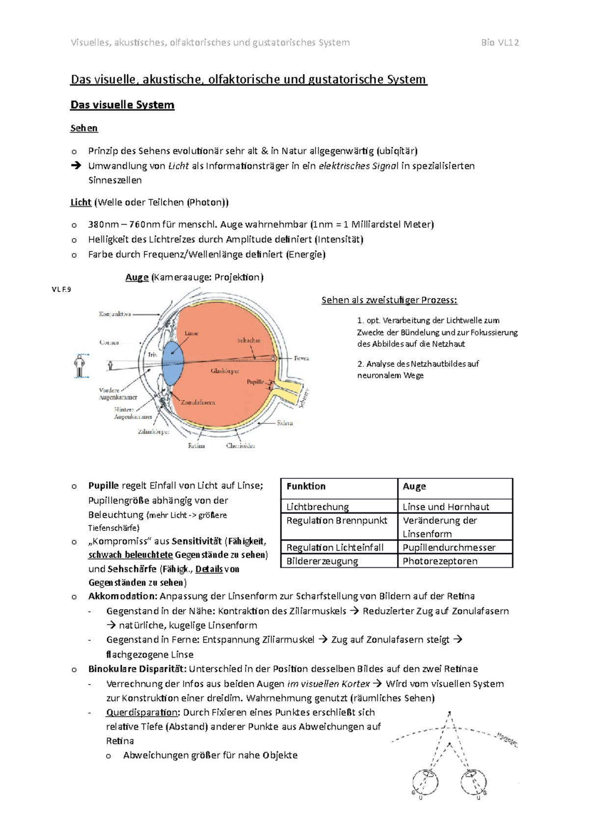 9 Sinne - WiSe - Das visuelle, akustische, olfaktorische und ...