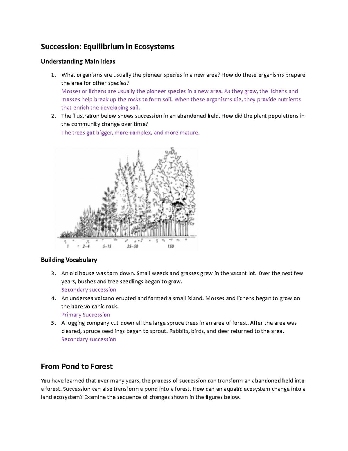 Succession+Activity - Work - Succession: Equilibrium in Ecosystems ...