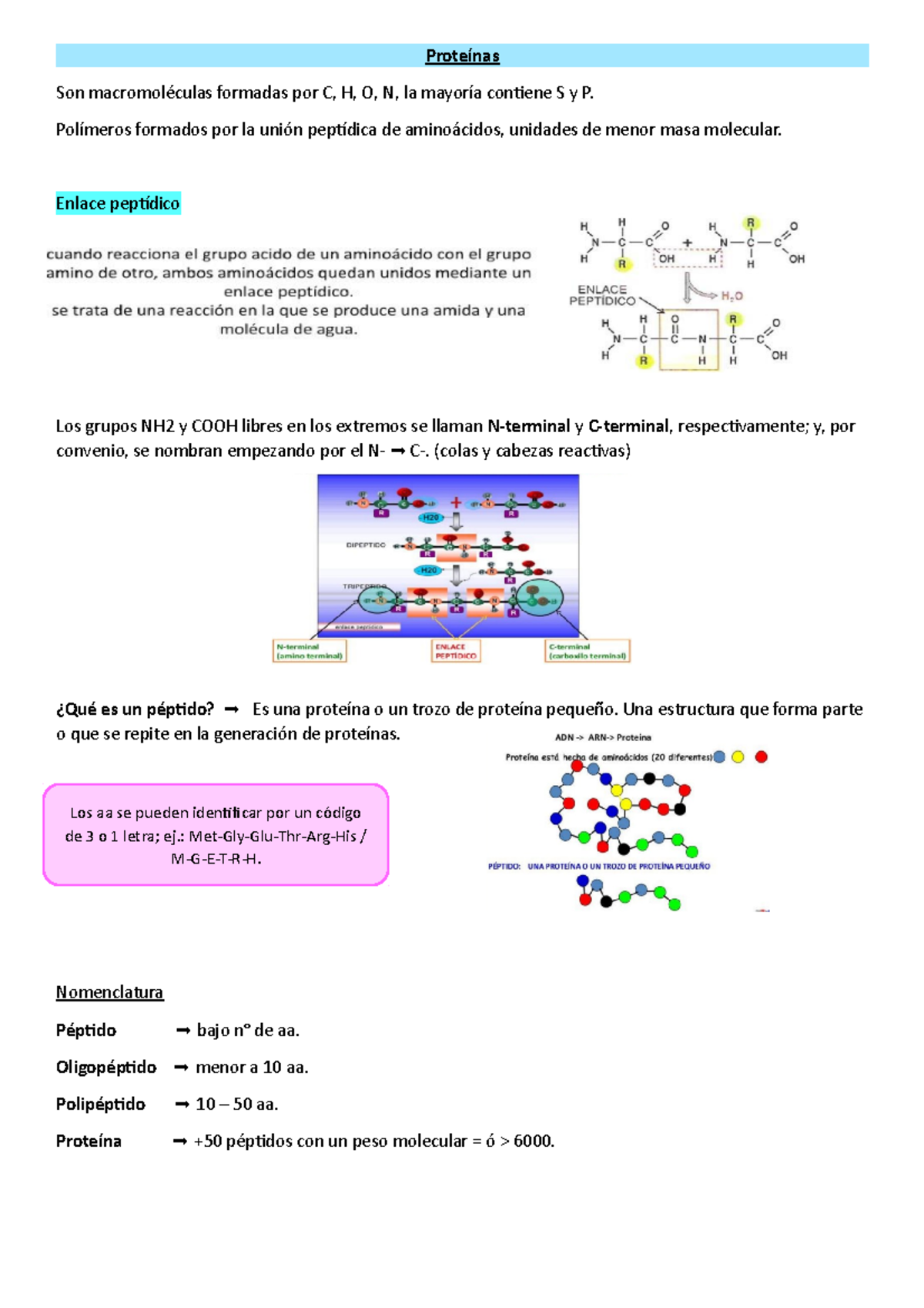 Proteínas apunte - Proteínas Son macromoléculas formadas por C, H, O, N, la mayoría contiene S y ...