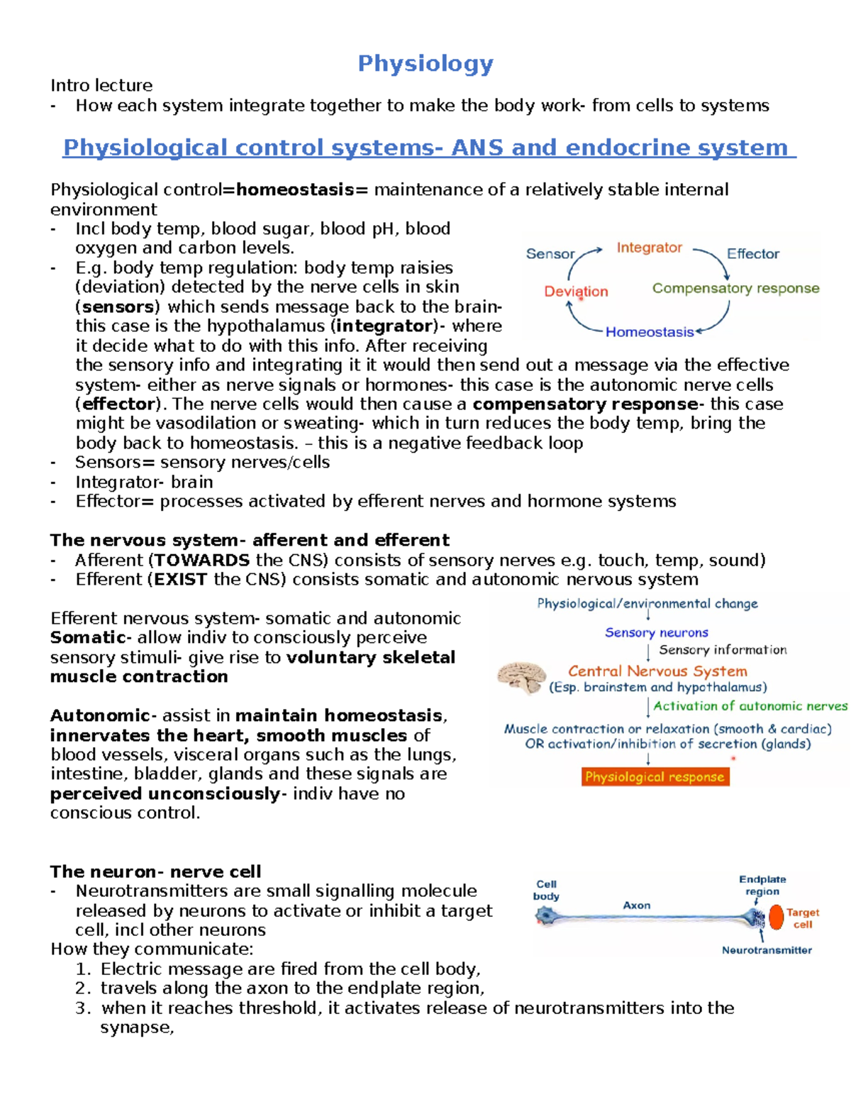 Phyl1001 notes - Physiology Intro lecture How each system integrate ...