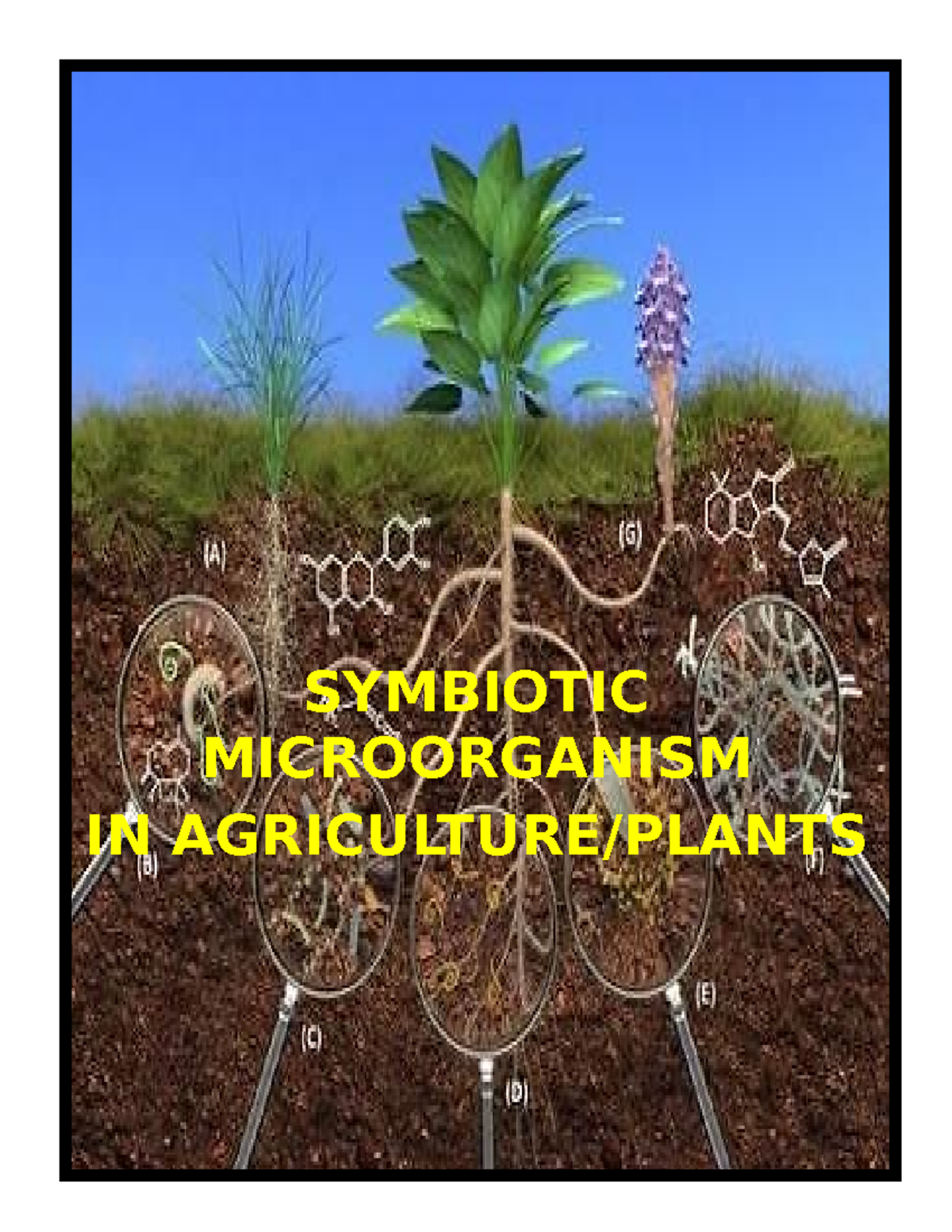 Symbiotic Microorganism in Agriculture or Plants - SYMBIOTIC ...