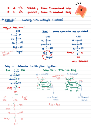 [Solved] The COO functional group characterizes which family of organic ...