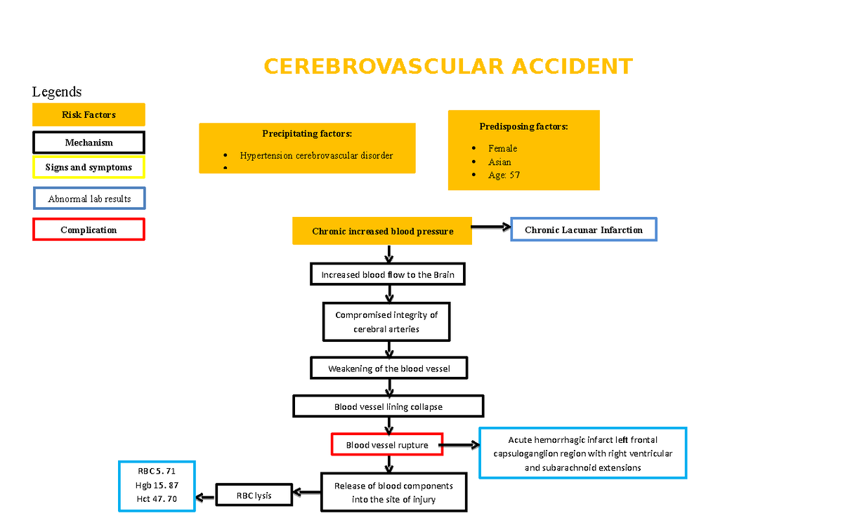 CVA pathophysiology - Drug Study - CEREBROVASCULAR ACCIDENT Legends ...