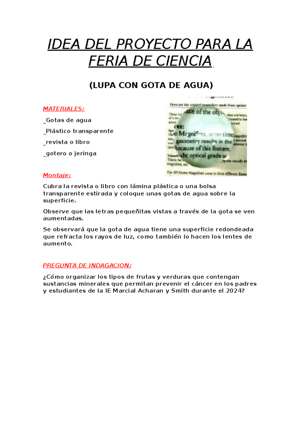 IDEA DEL Proyecto PARA LA Feria DE Ciencia - IDEA DEL PROYECTO PARA LA ...