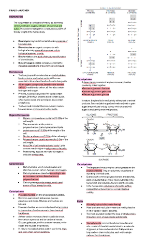 Microscope - ANATOMY AND PHYSIOLOGY (LAB): WEEK 2 MICROSCOPE o 1590 ...