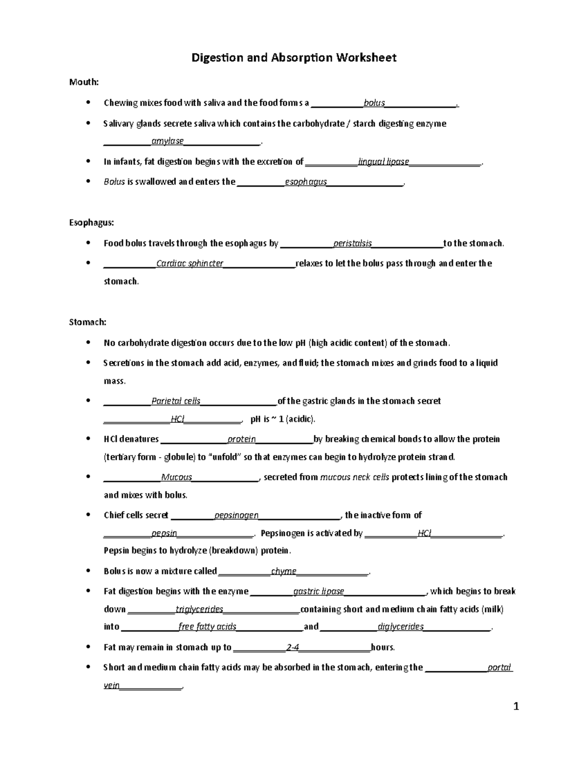 Digestion and Absorption Worksheet - Digestion and Absorption Worksheet ...