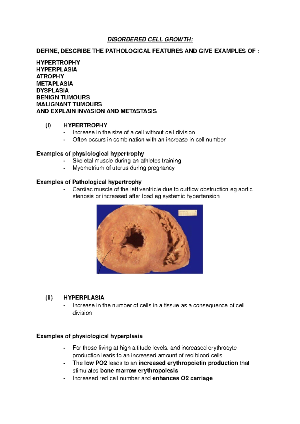 Disordered cell growth - DISORDERED CELL GROWTH: DEFINE, DESCRIBE THE ...