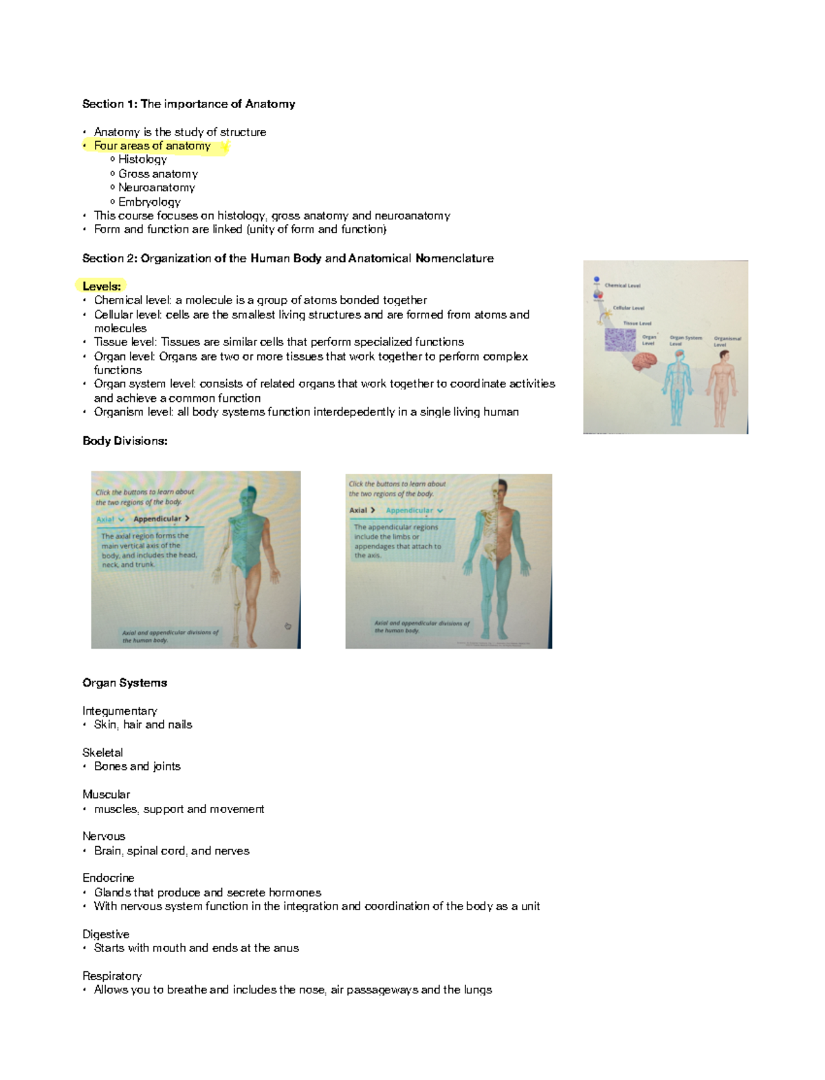 Module 1 Intro to Anatomy - Section 1: The importance of Anatomy ...